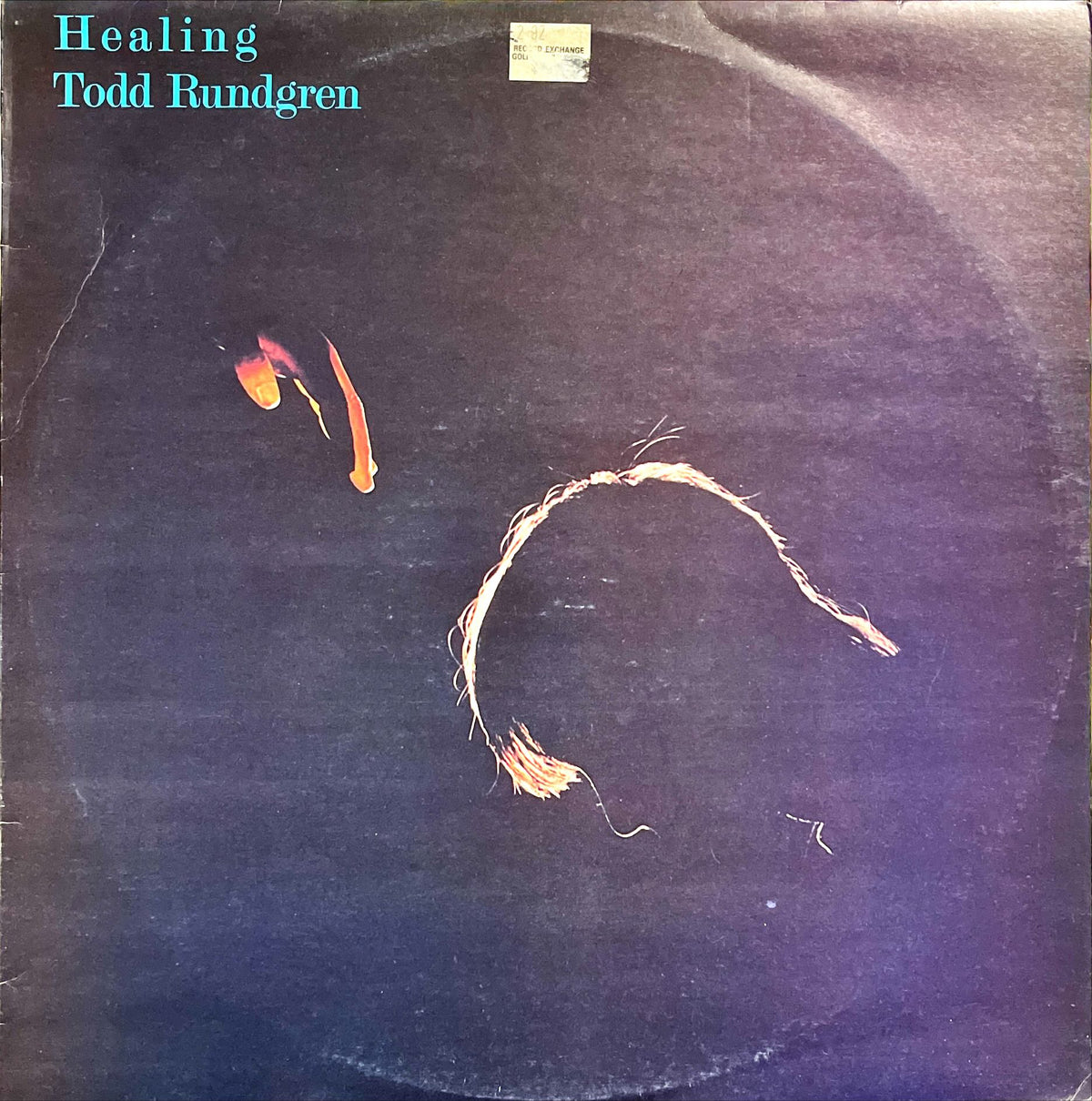 Todd Rundgren - Healing (Vinyl LP) — Record Exchange