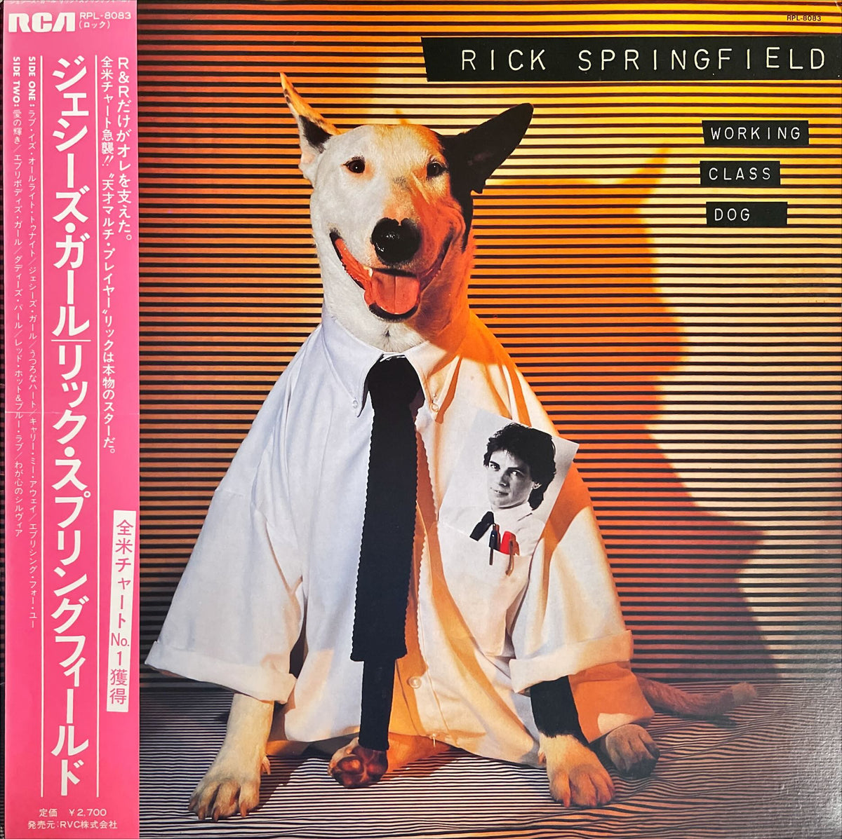Rick Springfield - Working Class Dog (Vinyl LP) — Record Exchange
