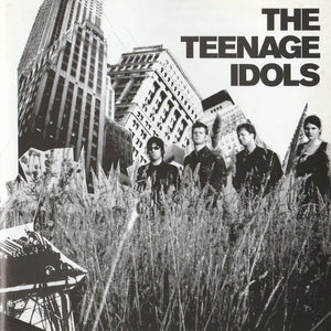 The Teenage Idols - The Teenage Idols (CD) — Record Exchange