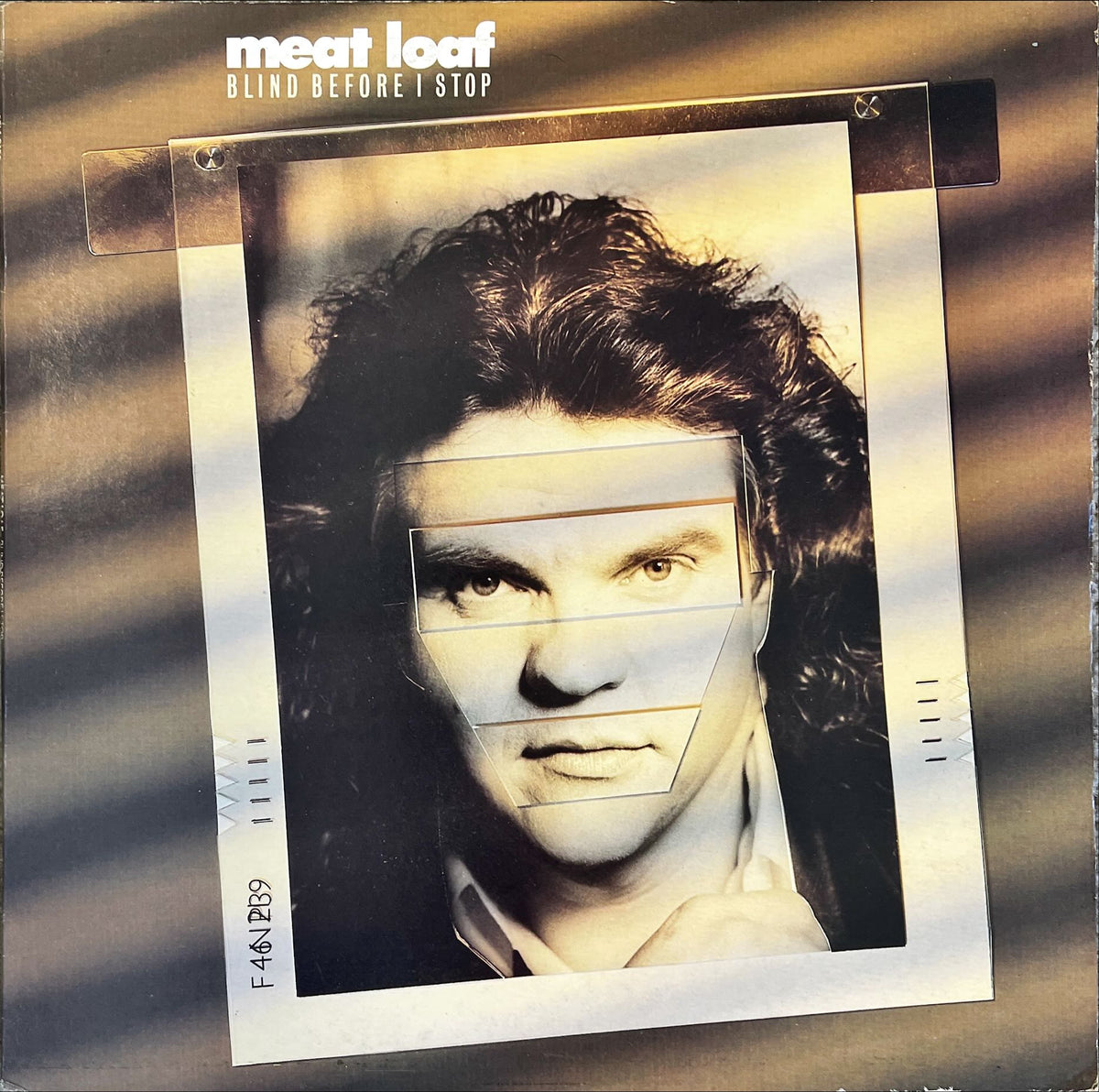 Meat Loaf - Blind Before I Stop (Vinyl LP) — Record Exchange